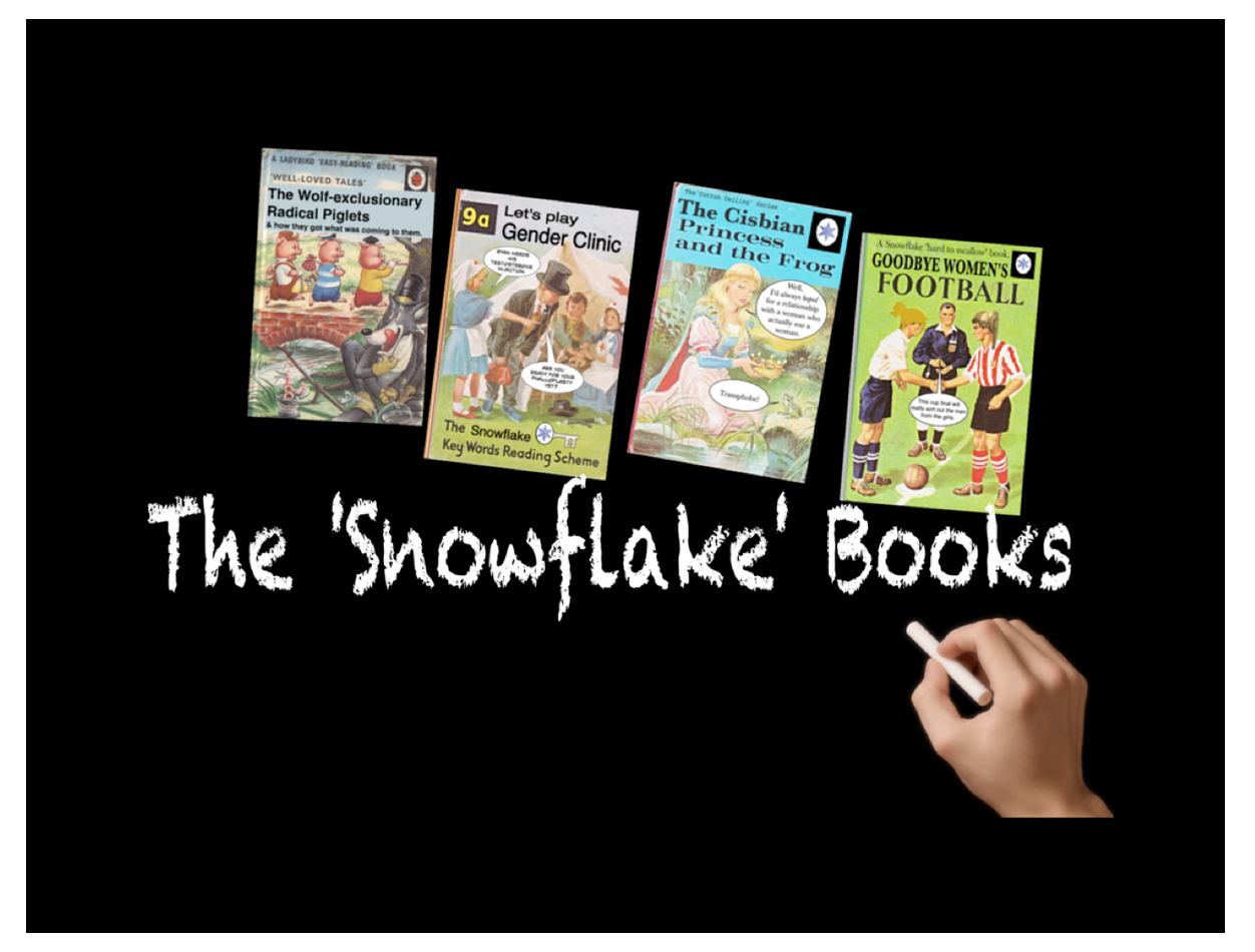 The 'Snowflake' books -Lily Maynard