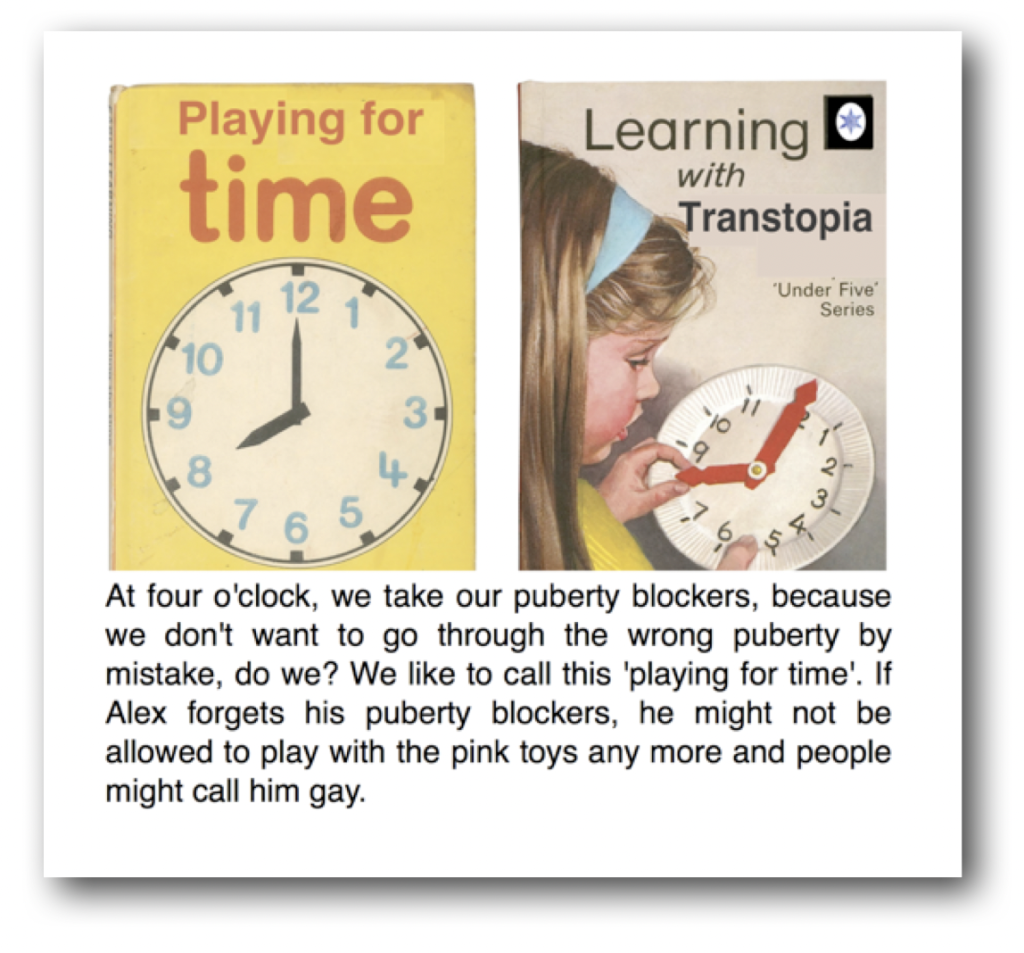 The Great Ongoing Puberty Blockers Experiment Lily Maynard